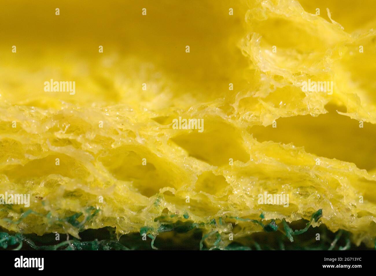 Sponge close up detail hi-res stock photography and images - Alamy