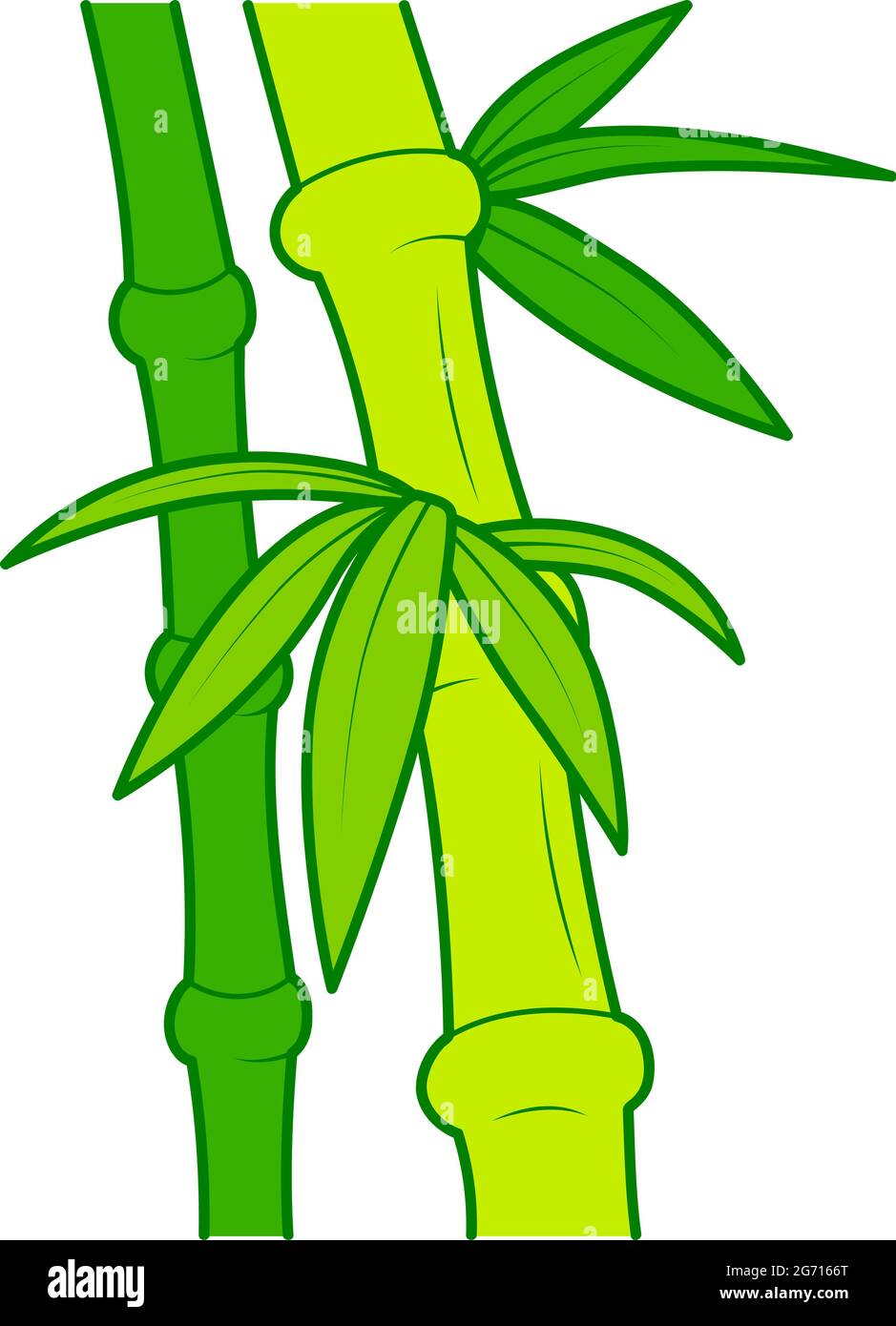 Bamboo Clipart Pictures