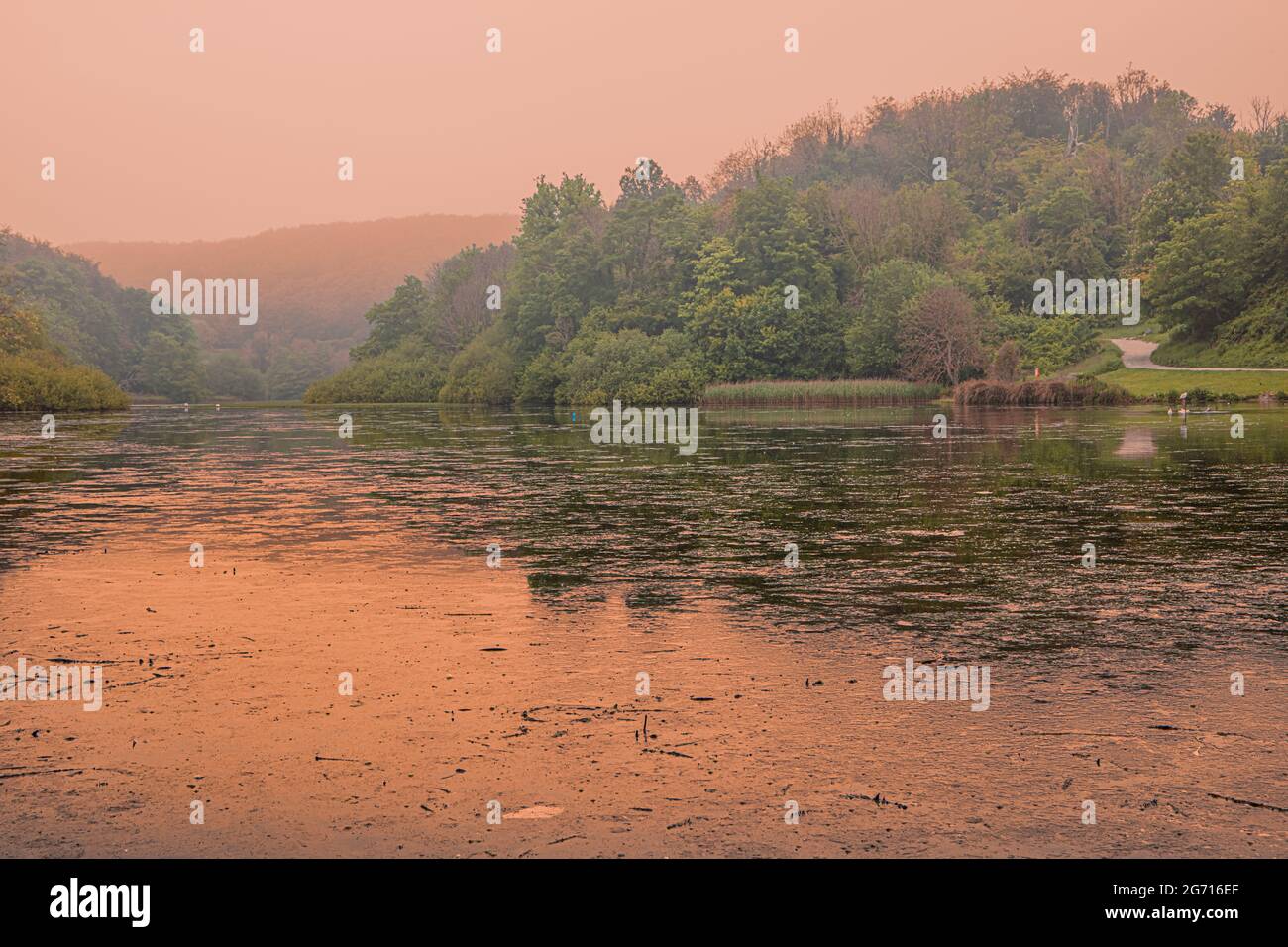 Swanbourne Lake in Arundel, Sussex, England, UK Stock Photo - Alamy
