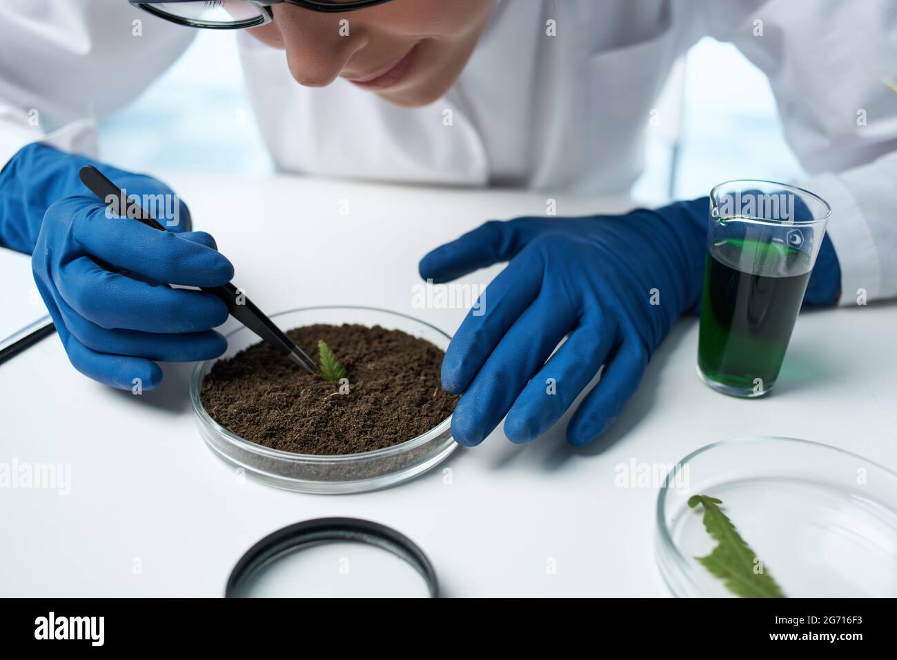 female laboratory assistant biology research plants biology Stock Photo ...