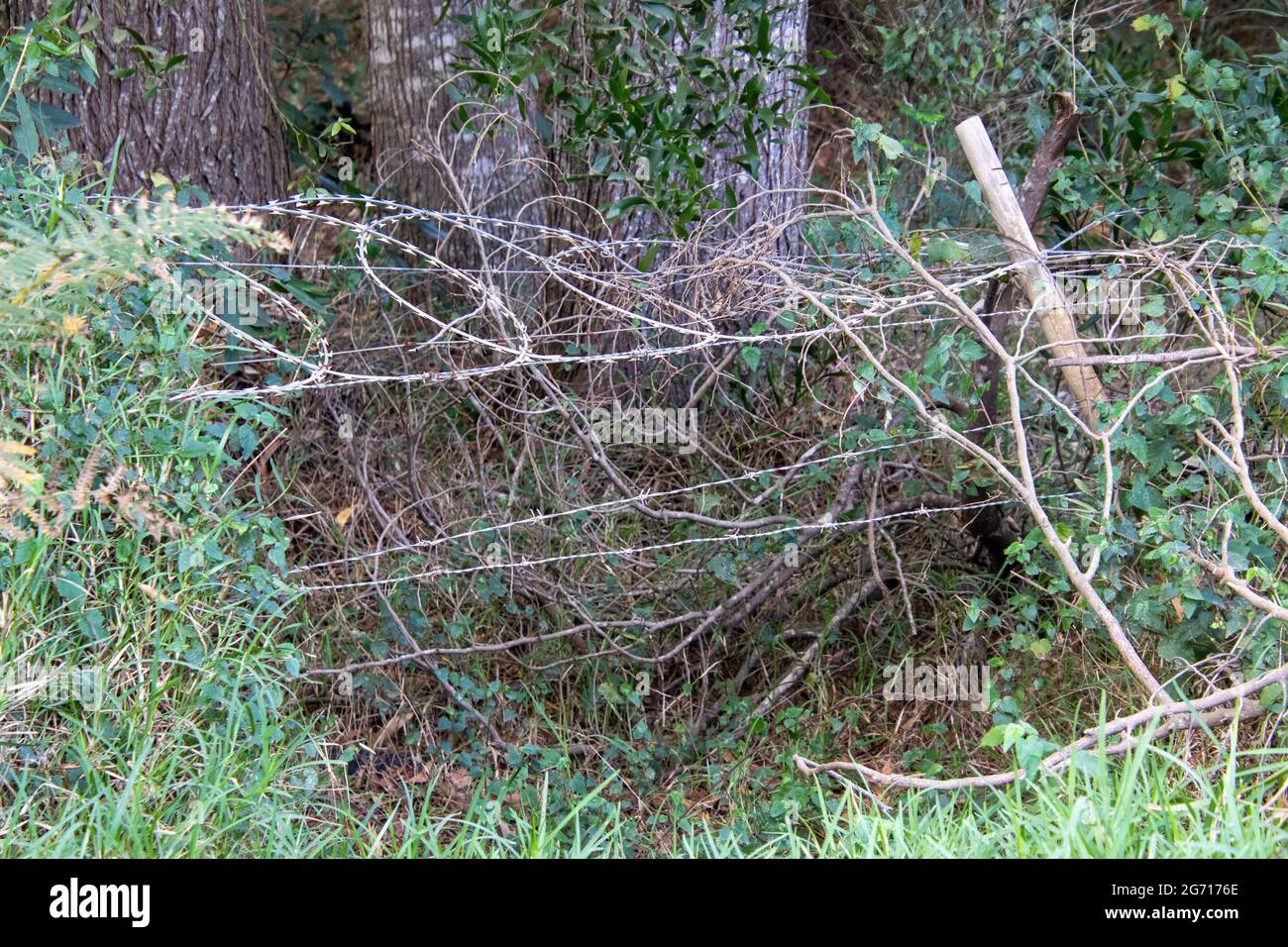A fence designed to keep people out has a large hole below it totally ...