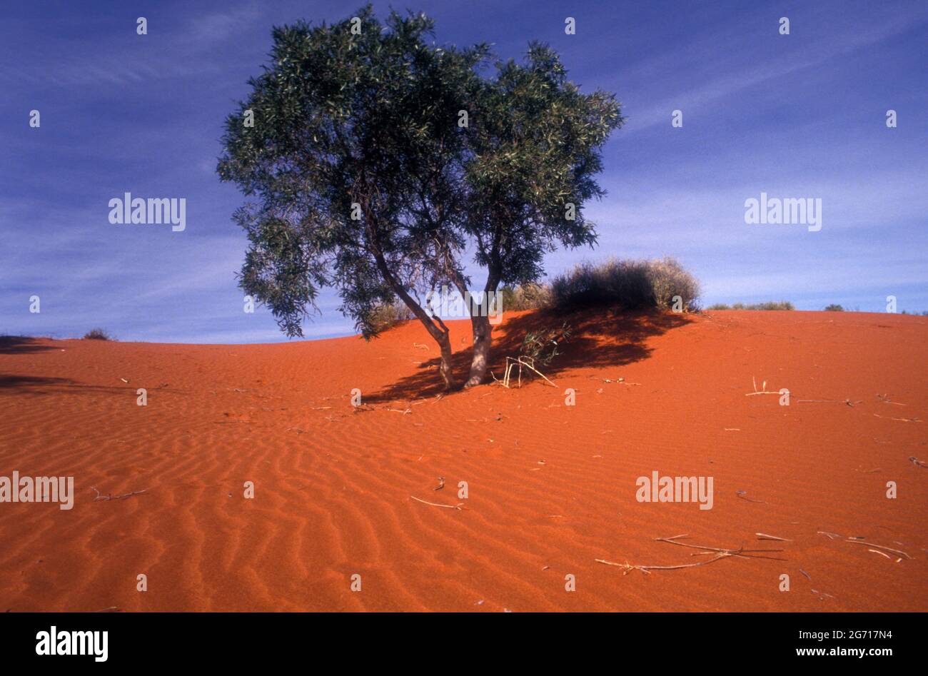 RED SAND DUNES OF THE GREAT SIMPSON DESERT, CENTRAL AUSTRALIA Stock ...