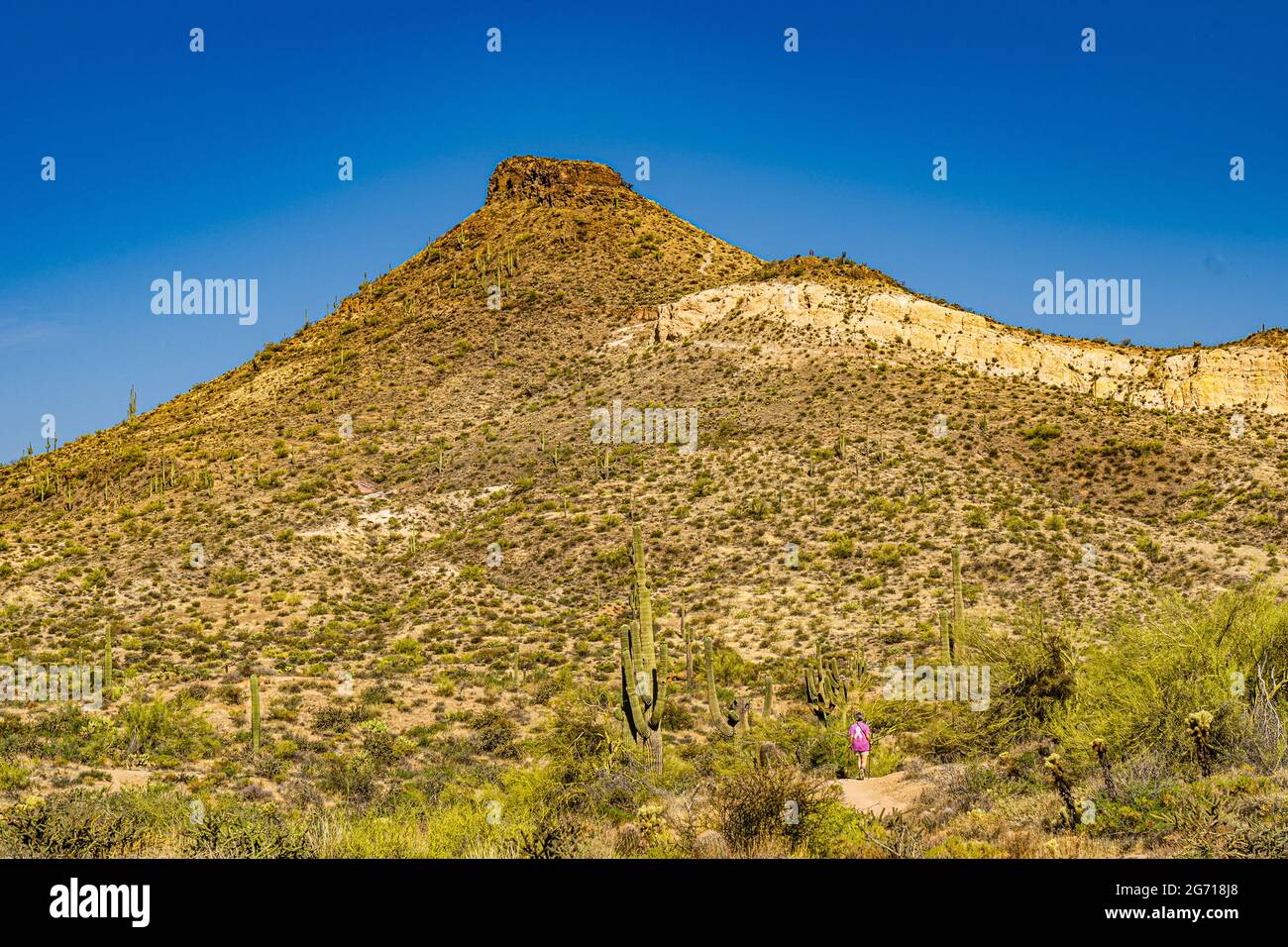 A hiker in pink challenges the desert Stock Photo - Alamy