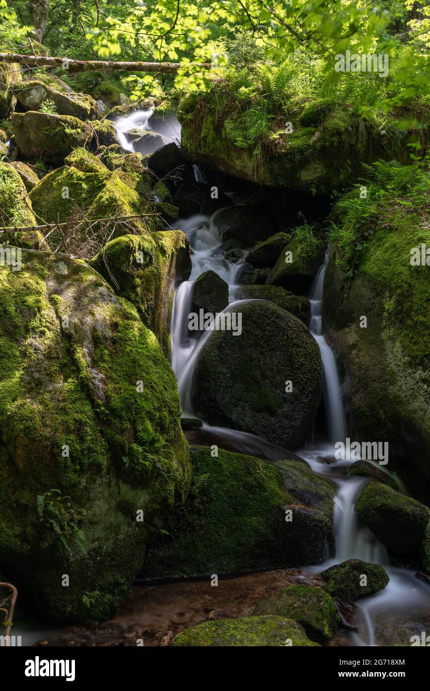 Vertical shot of a beautiful Gertelbach small cascade of a waterfall in ...