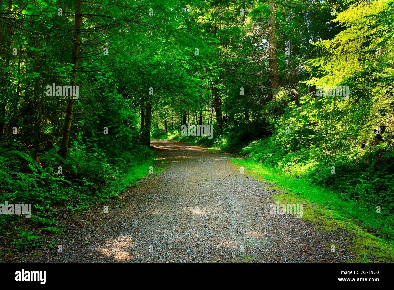 Pacific northwest trail hi-res stock photography and images - Alamy