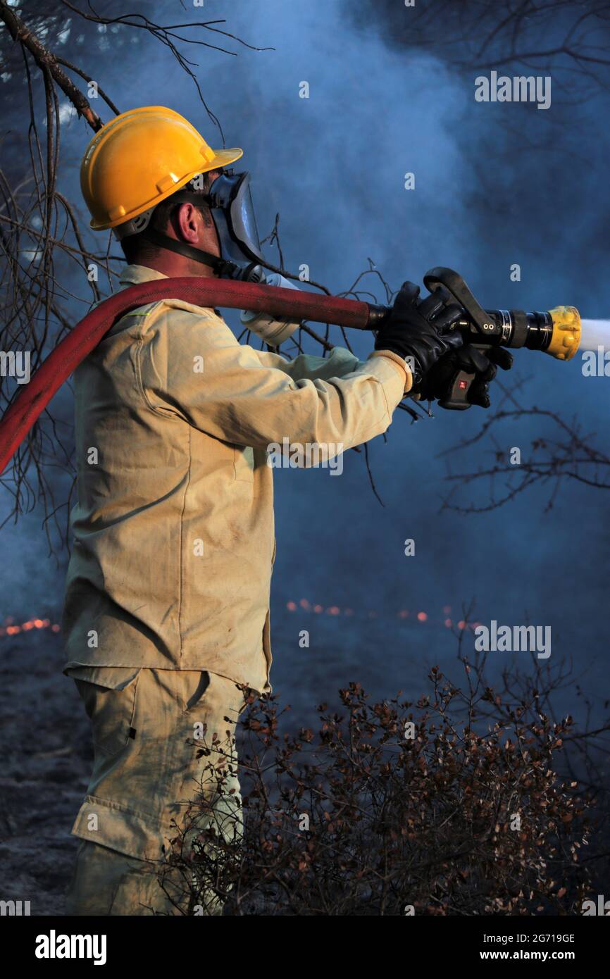 Forest fire extinguishing works. Firefighters extinguishing forest fire ...