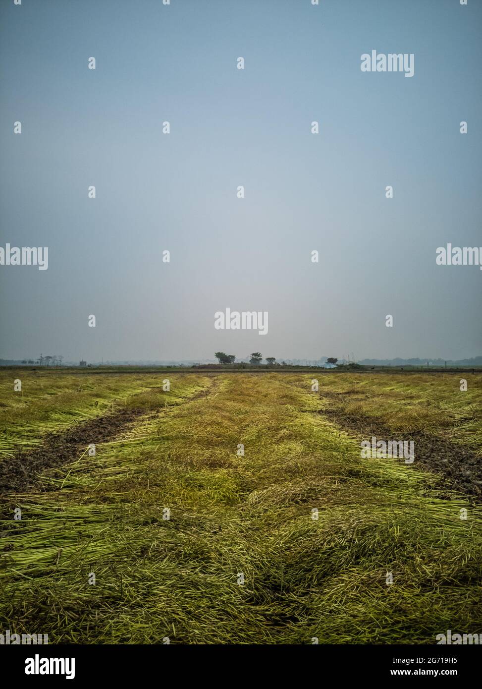 Spring agricultural scenery empty hi-res stock photography and images ...