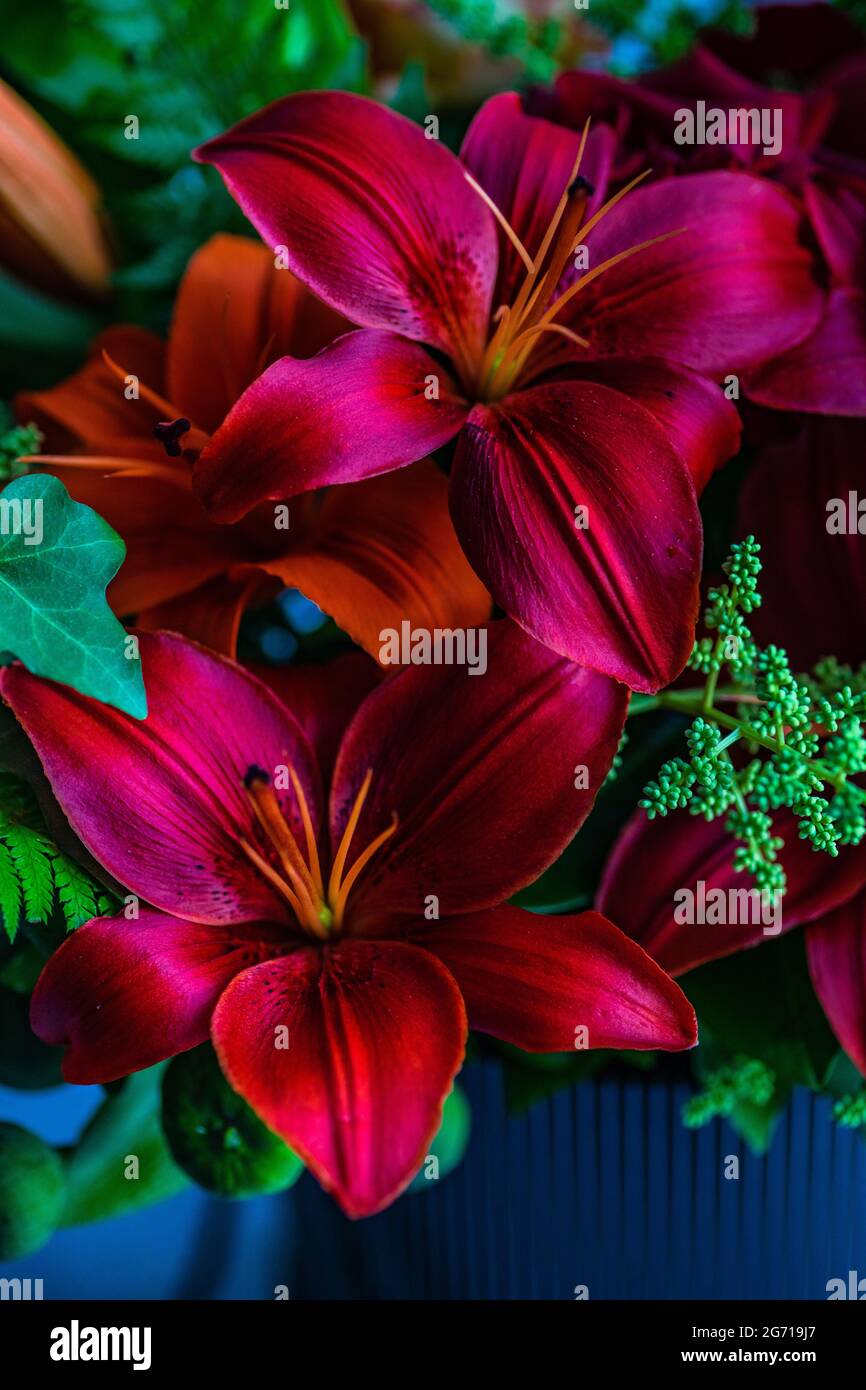 Summer flolar composition concept with variety of seasonal flowers ...