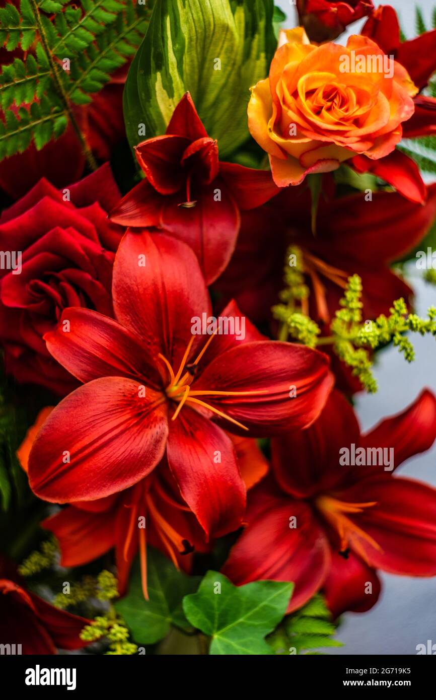 Summer flolar composition concept with variety of seasonal flowers ...