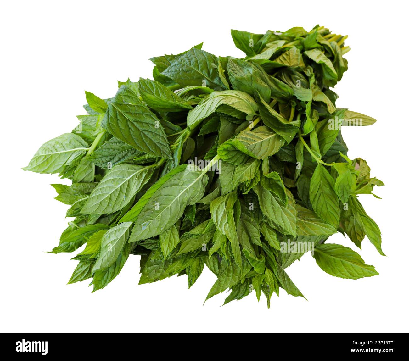 Mint green detail Cut Out Stock Images & Pictures - Alamy