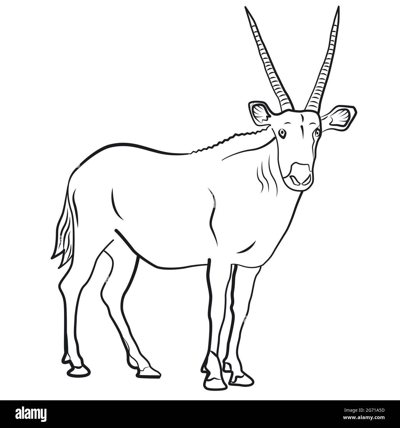 Outline Illustration of the african antelope on the white background ...