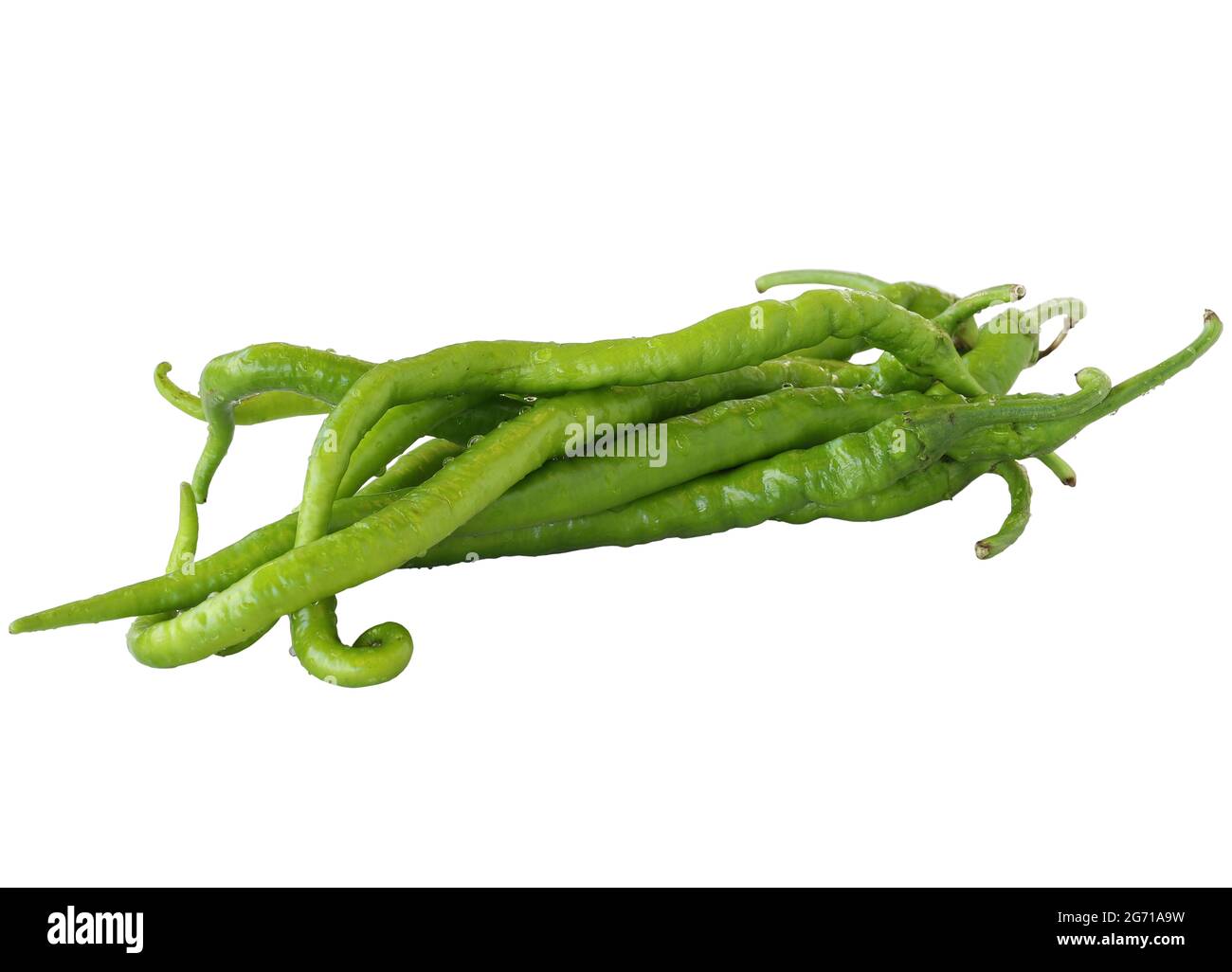 Green sweet pepper isolated on white background. Sweet pepper Clipping ...