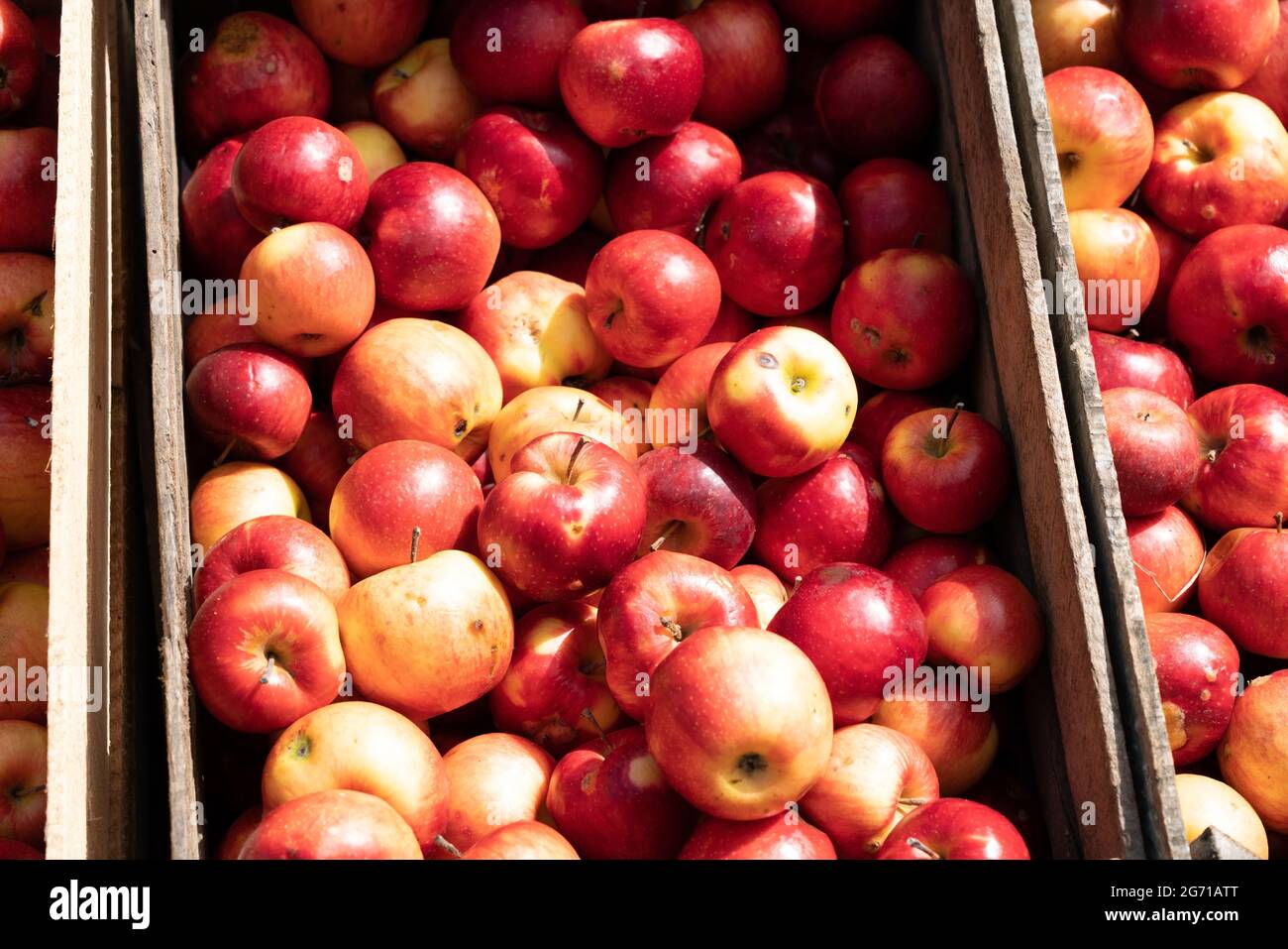 red apples in boxes on the market Stock Photo - Alamy