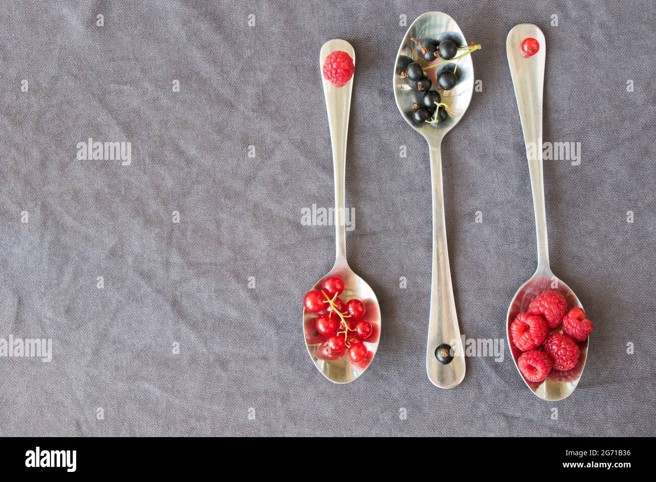 Red and black currant and loganberries on the iron spoon on the gray ...