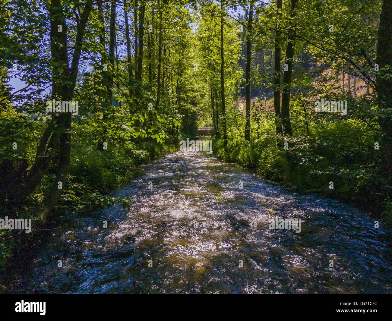 Small river flowing in a forest covered in greenery under the sunlight ...