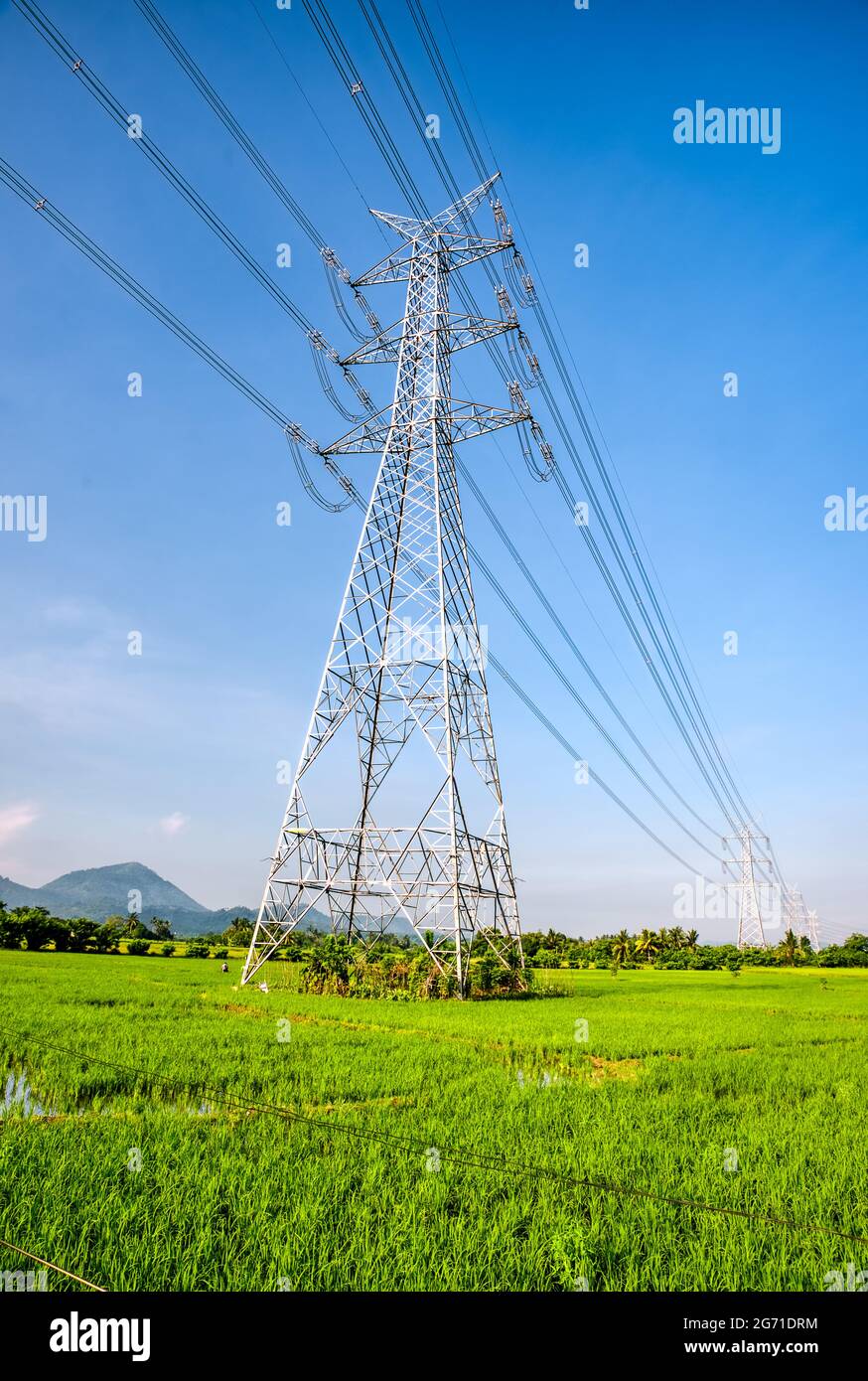 Overhead eletrical transmission line crossing the rice field at ...