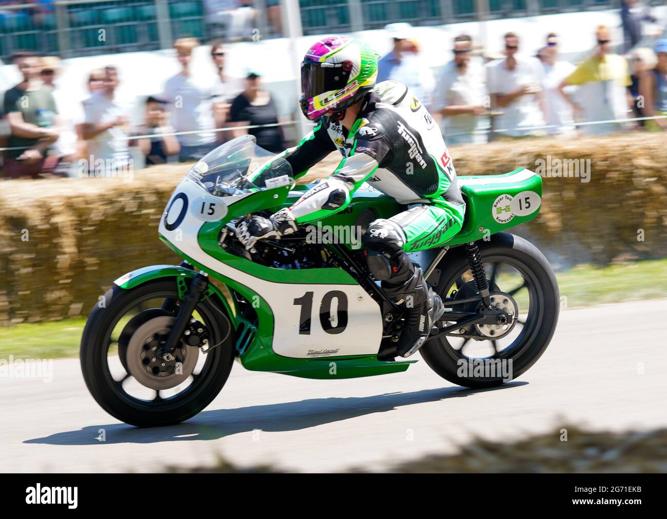 Tara Lynn Wilson Race