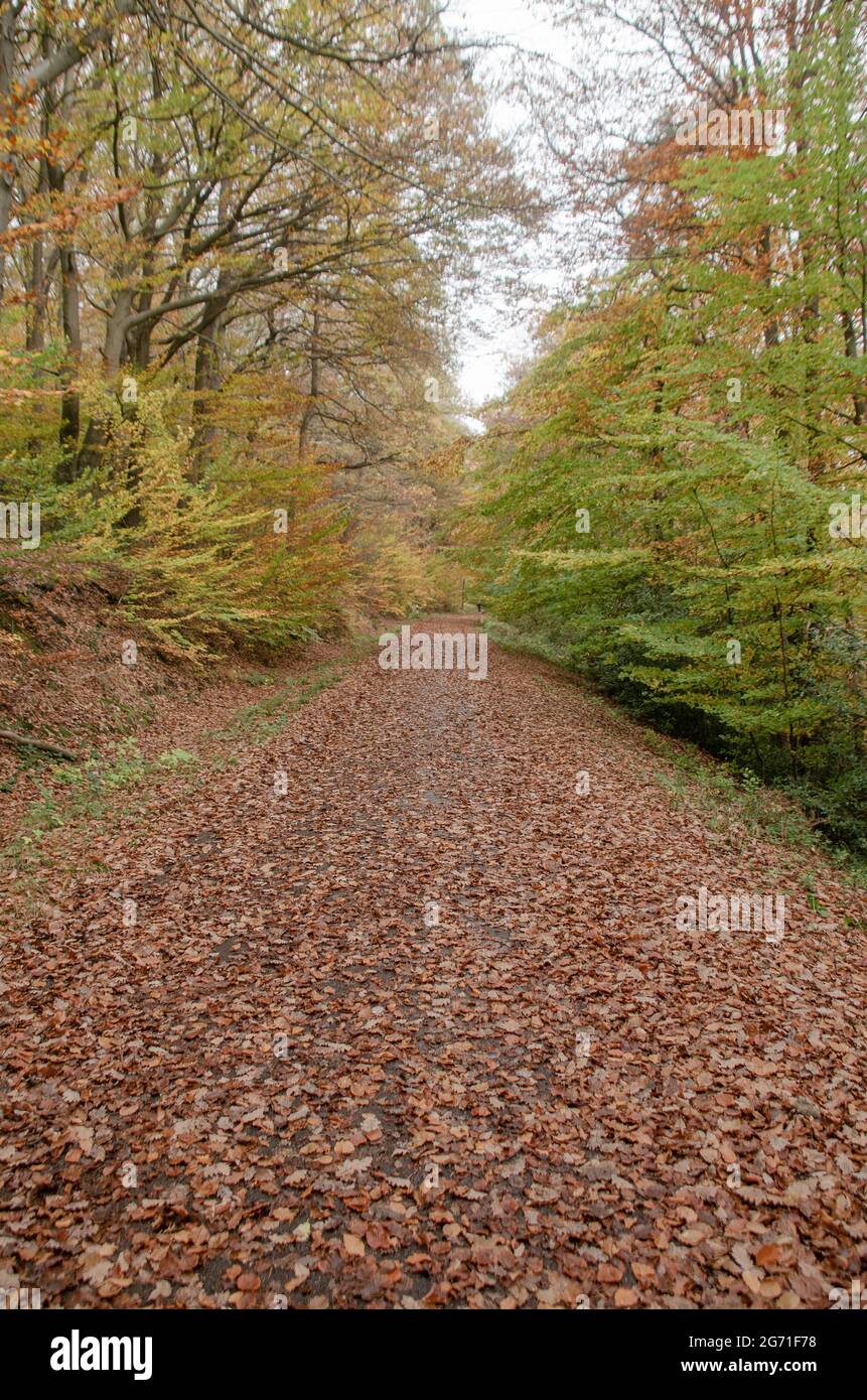 Prairie landschaft hi-res stock photography and images - Alamy