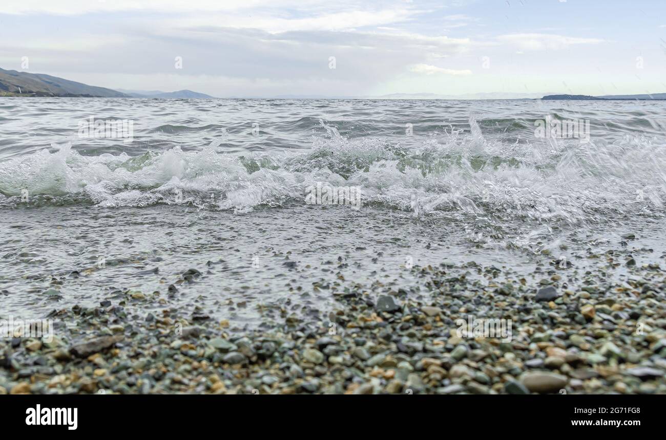 White shell on gravel hi-res stock photography and images - Alamy