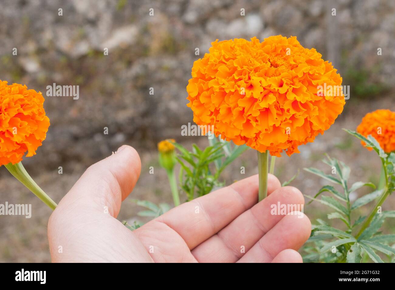 Fingers round hi-res stock photography and images - Alamy