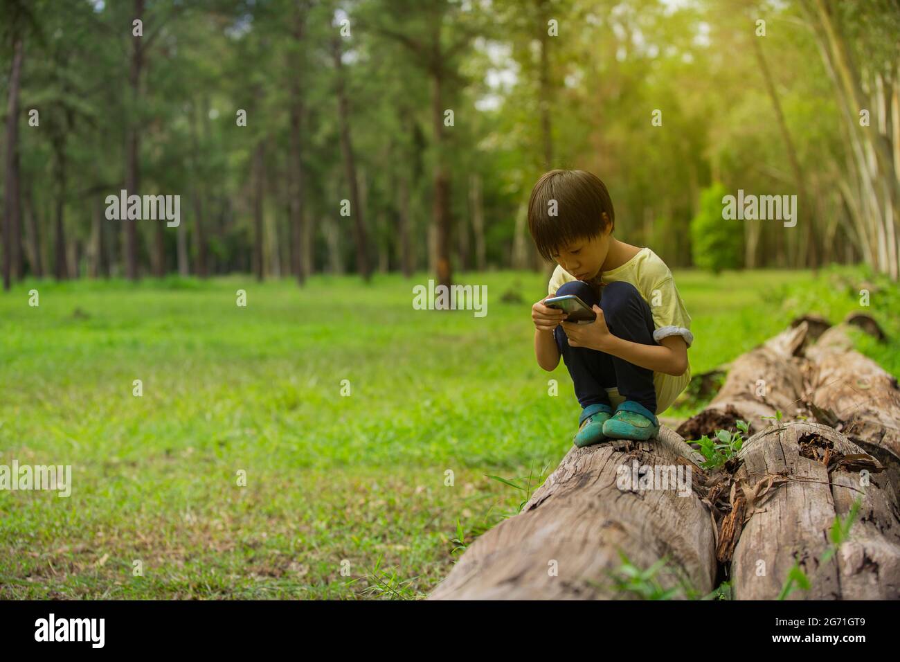 A little boy with a phone in his hand is sitting on timber wood logs in ...