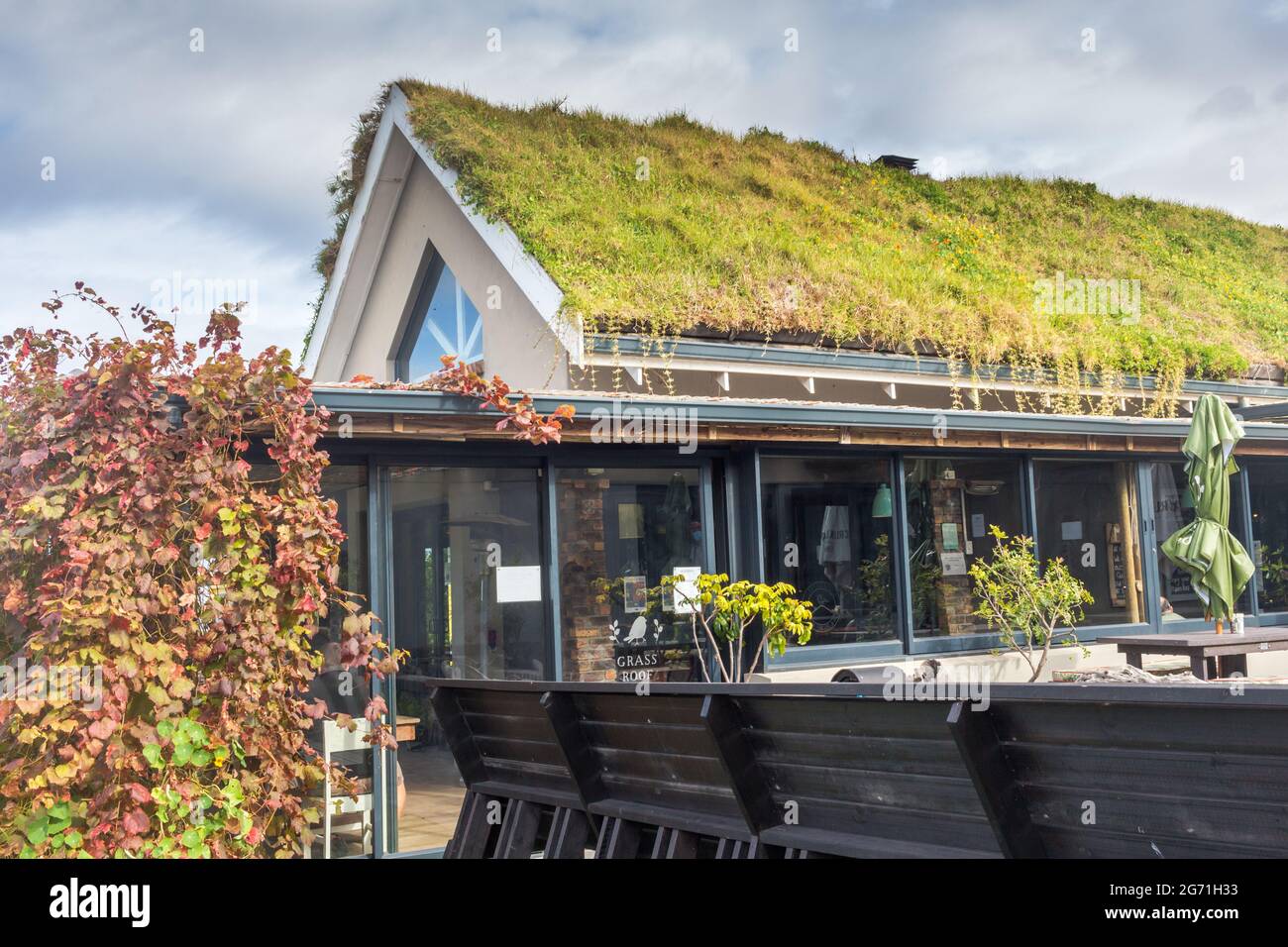 Grass Roof Bar
