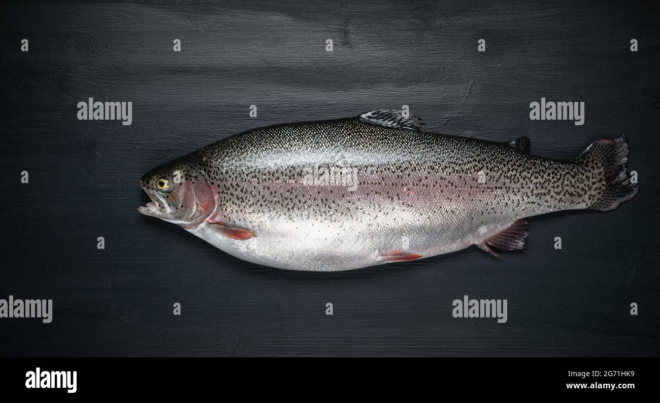 Fresh raw salmon red fish on a black wooden table. Creative layout made ...