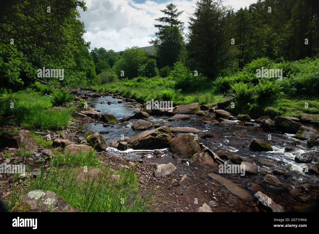 Babbling Brook High Resolution Stock Photography and Images - Alamy