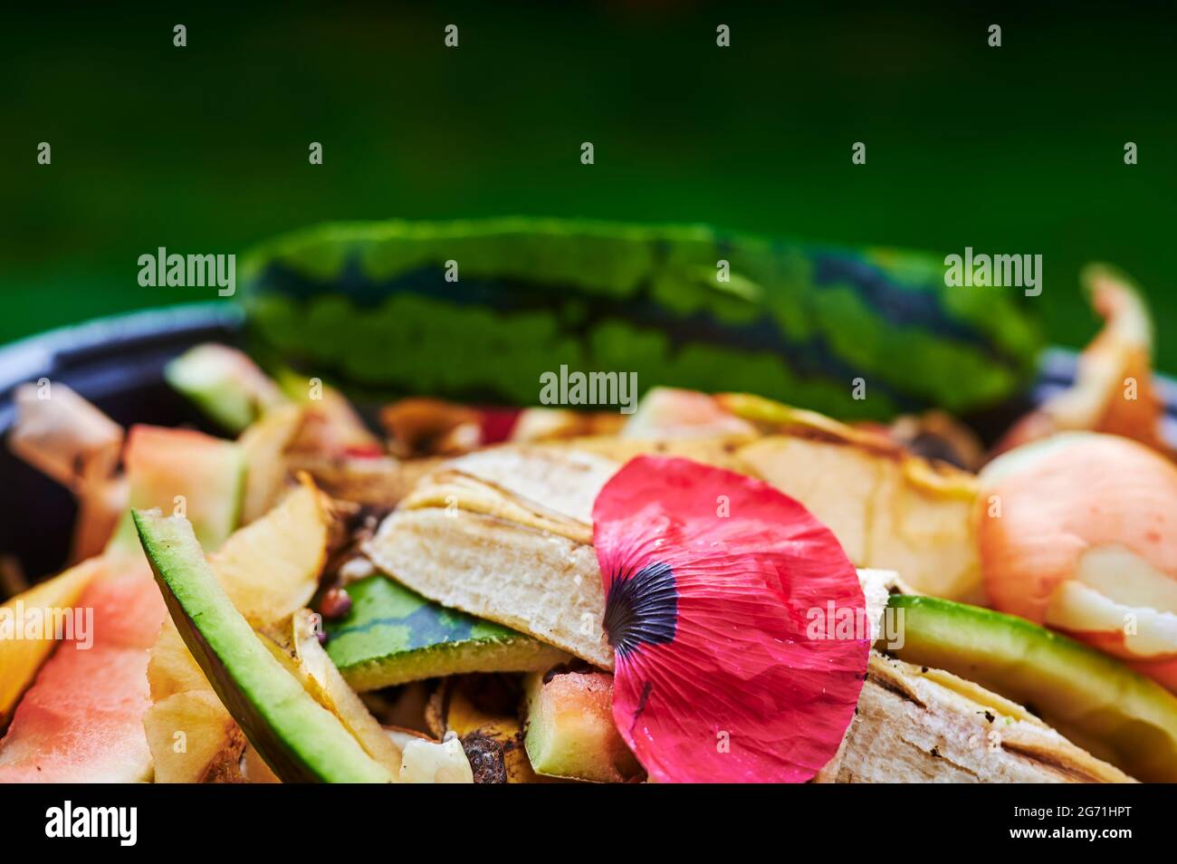 View into a bio container with various organic wastes for recycling ...