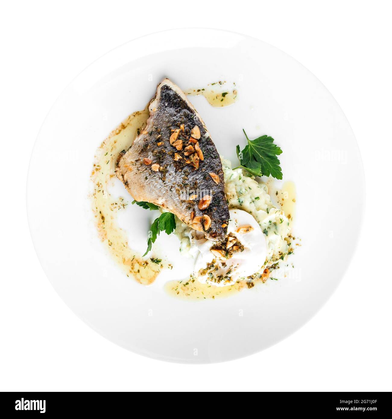Isolated plate of gourmet grilled fish fillet Stock Photo - Alamy