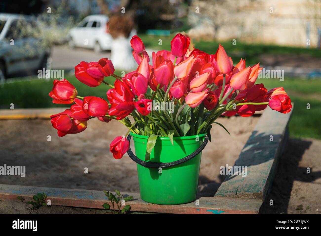 Bucket with spring flowers hi-res stock photography and images - Alamy