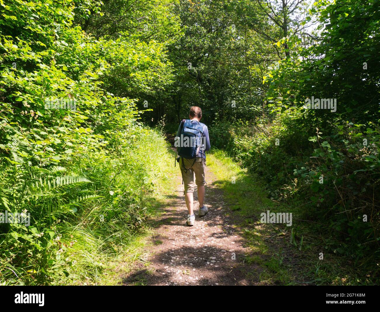 Female walker on Jack Mytton Way along Wenlock Edge In Shropshire Hill ...