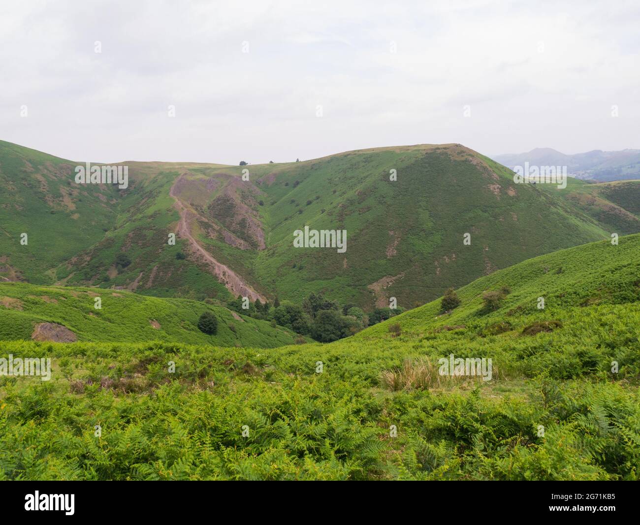 Form part of the shropshire hills hi-res stock photography and images ...