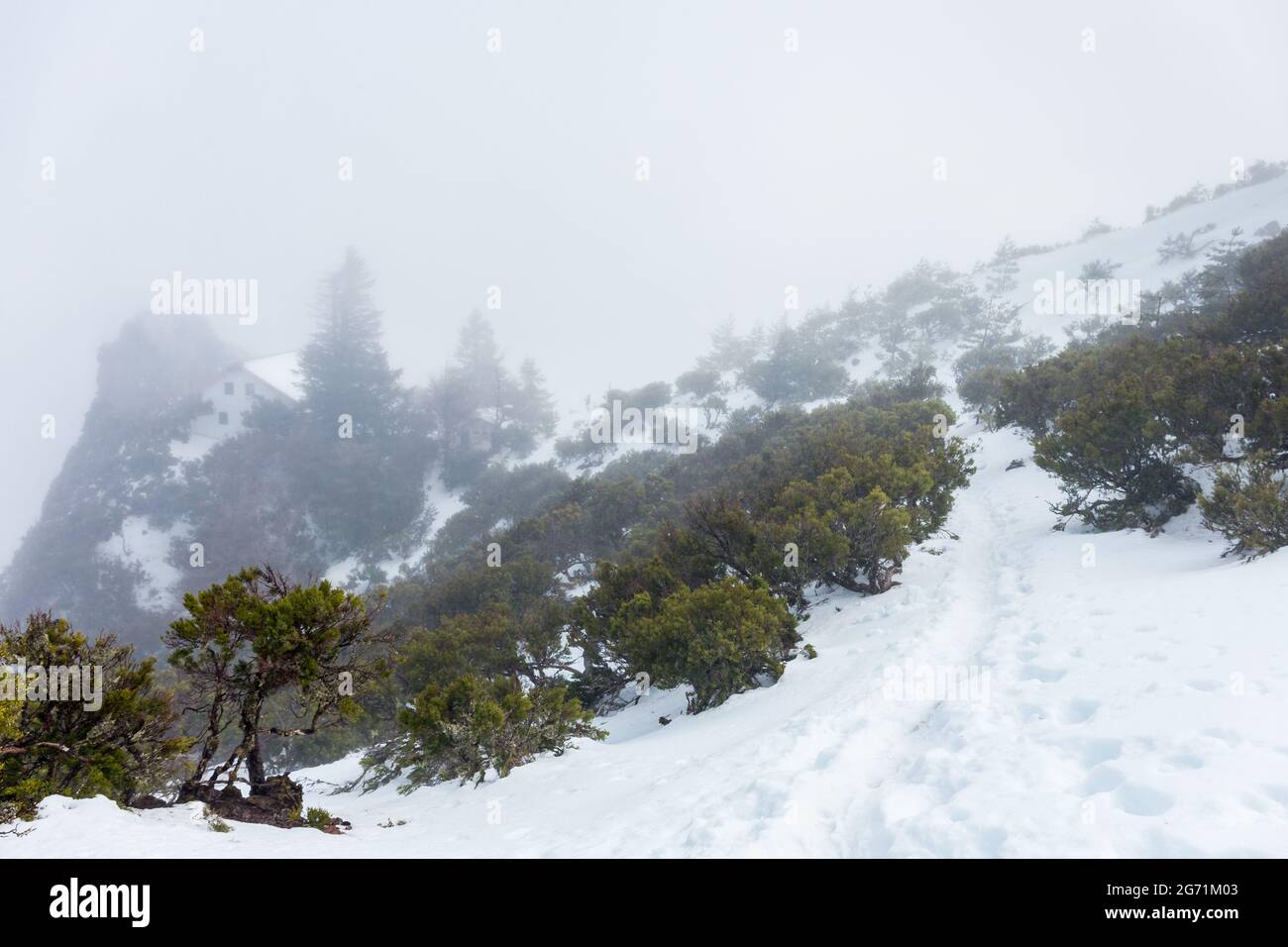 Overview of Pico Ruivo footpath covered with snow in Santana, Madeira ...
