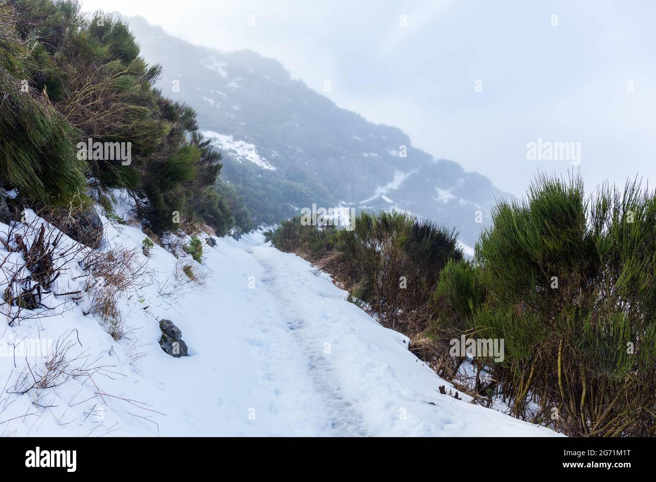 Overview of Pico Ruivo footpath covered with snow in Santana, Madeira ...