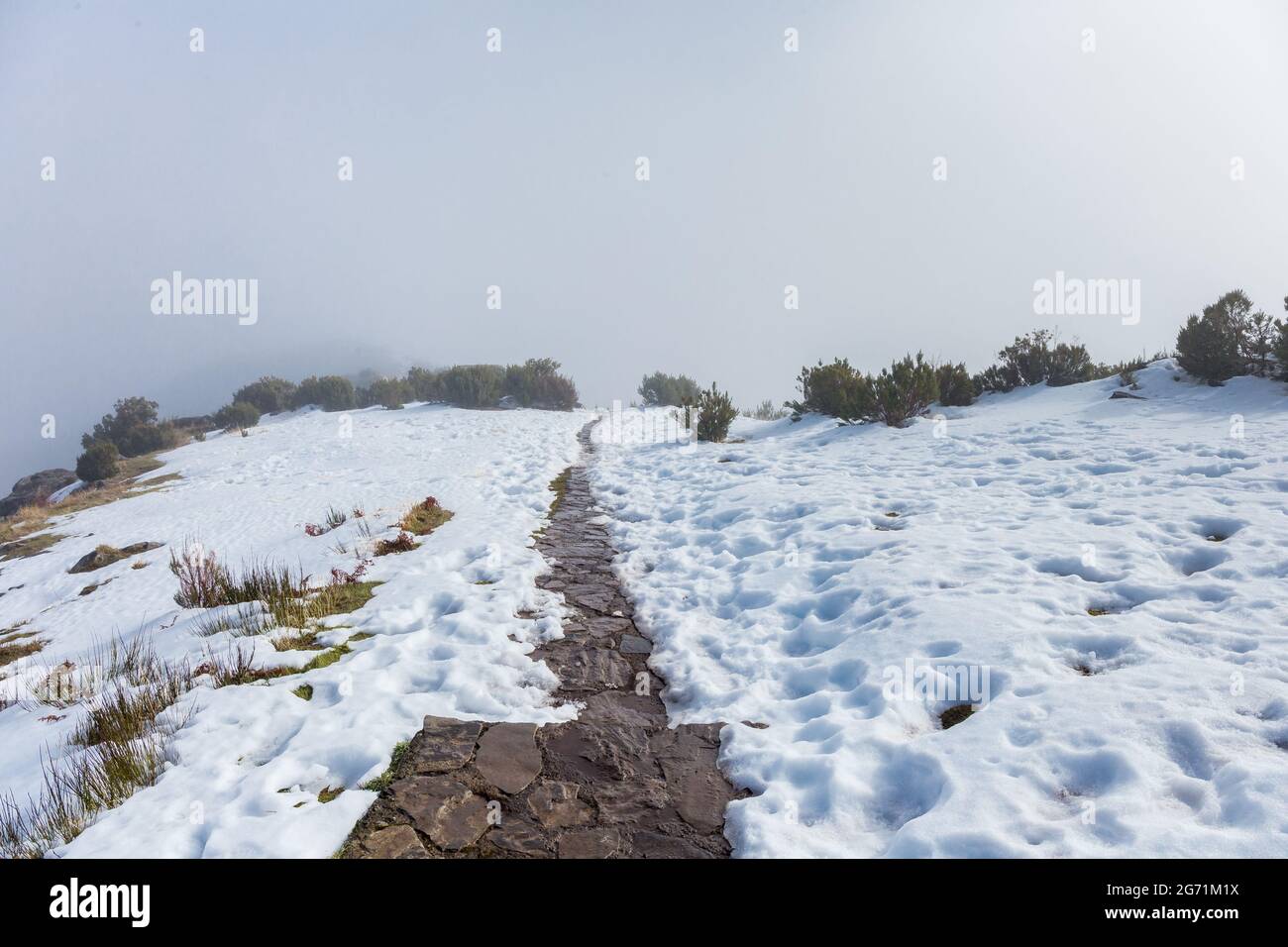 Overview of Pico Ruivo footpath covered with snow in Santana, Madeira ...