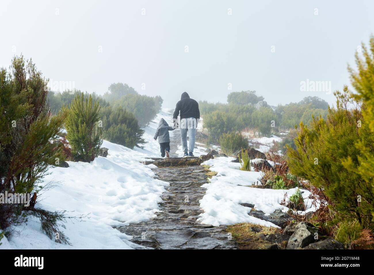 Father and son hiking in Pico Ruivo footpath covered with snow in ...