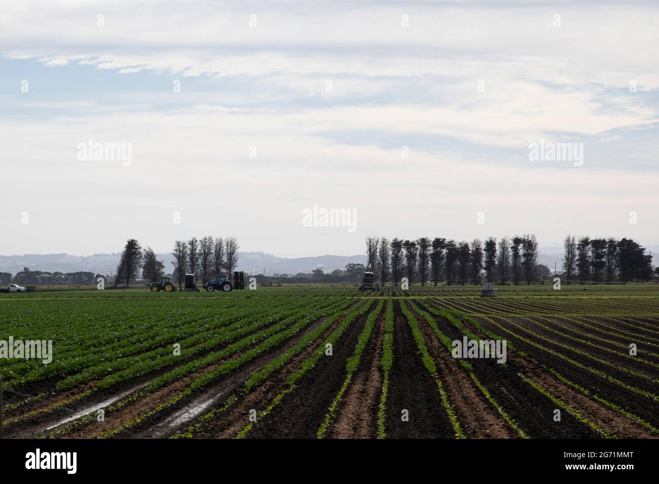 Produce of the land hi-res stock photography and images - Alamy