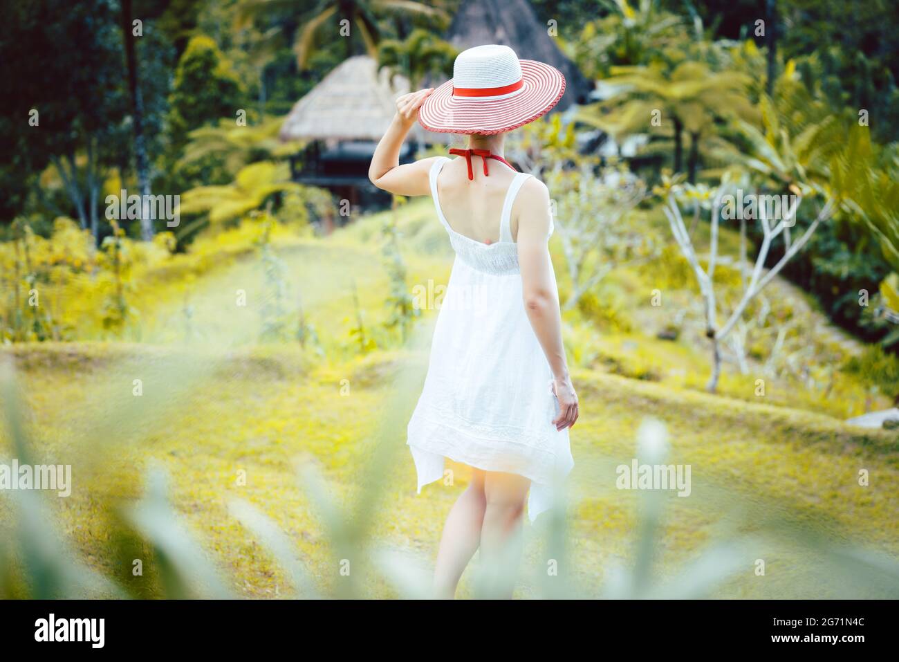 Walking through the jungle hi-res stock photography and images - Alamy