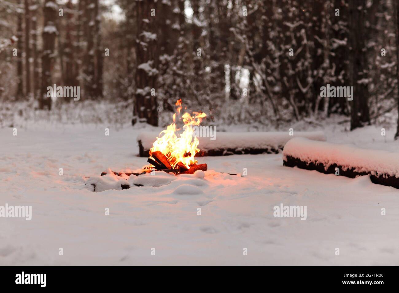 Bonfire woods hi-res stock photography and images - Alamy