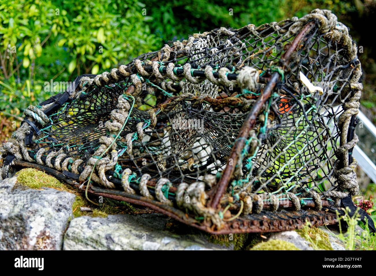 Trawl Fish High Resolution Stock Photography and Images - Alamy