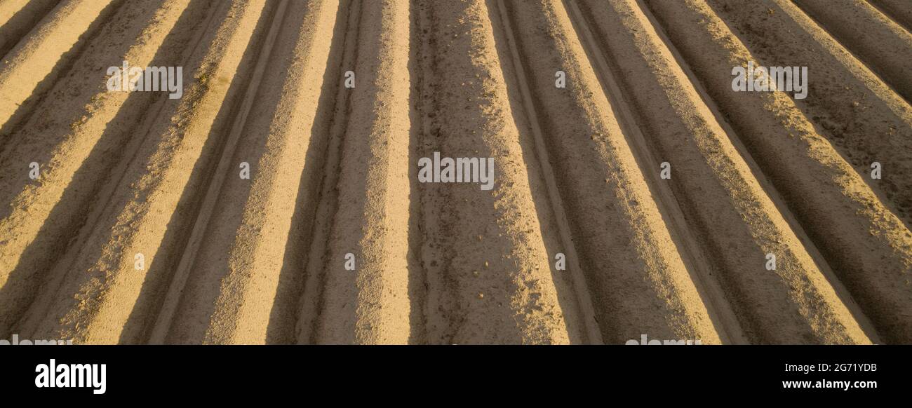 High-quality cultivated soil for planting agricultural crops Stock ...