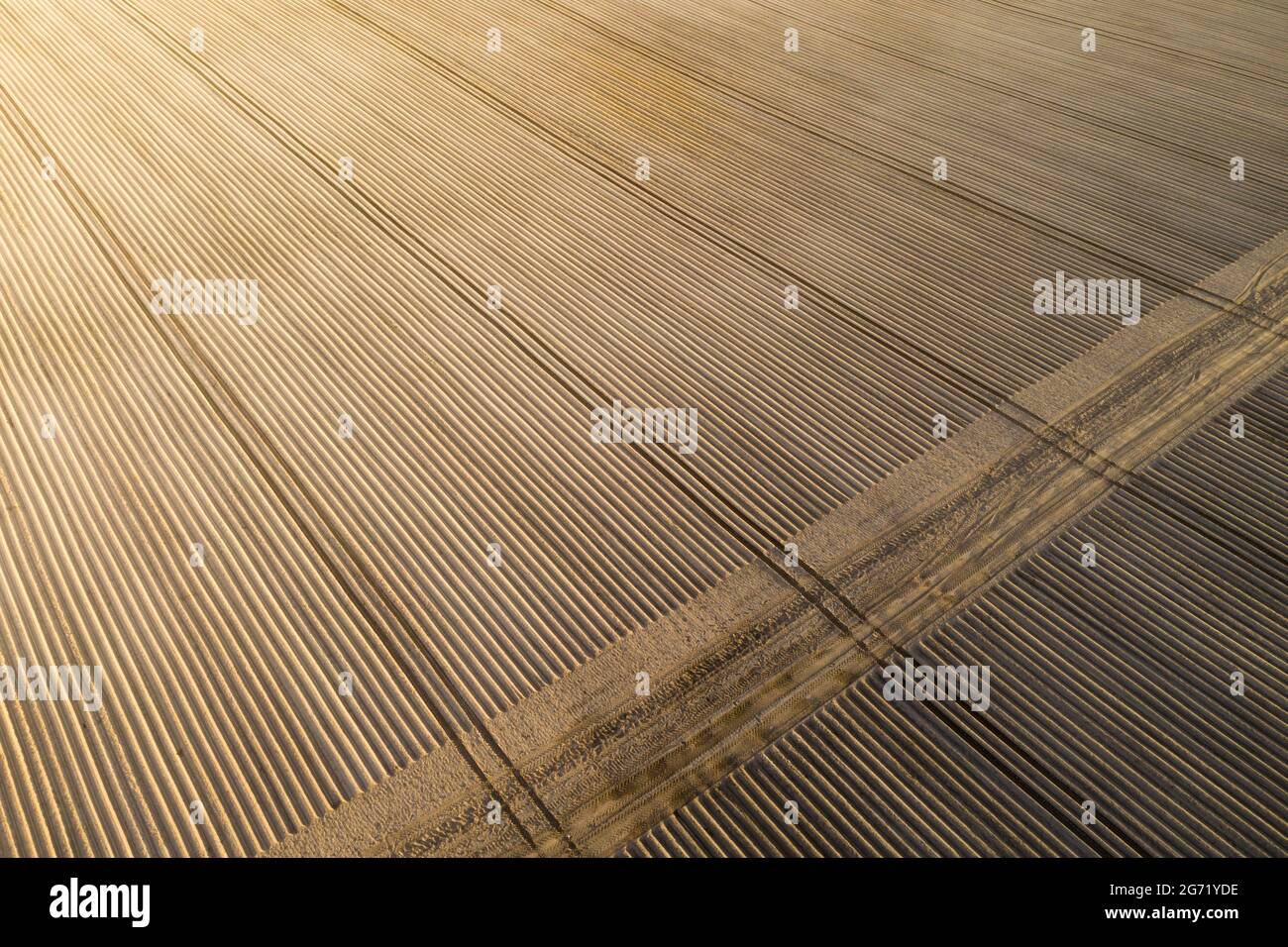 High-quality cultivated soil for planting agricultural crops Stock ...