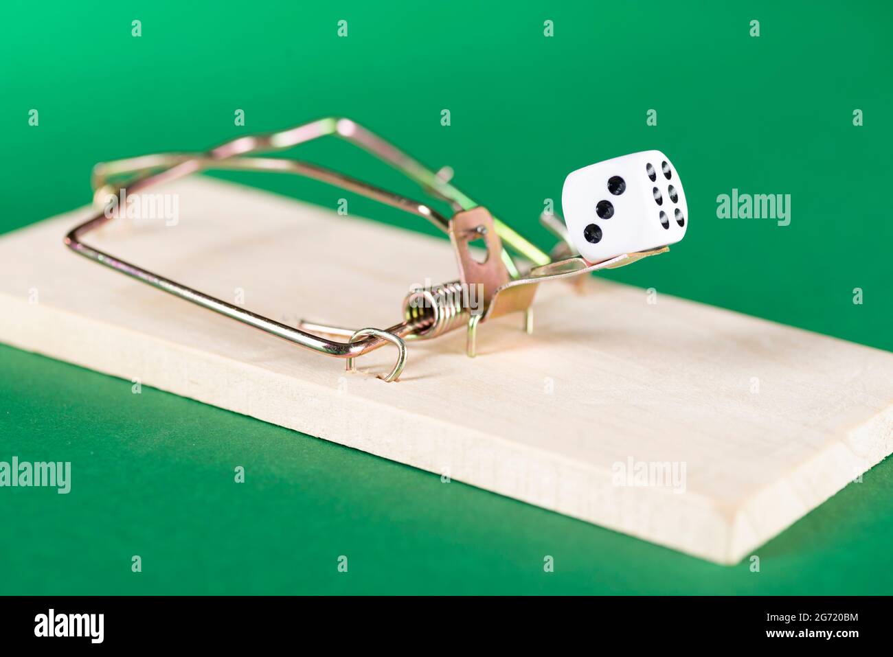 Dice and mousetrap, game trap, on a green background, get into gambling ...