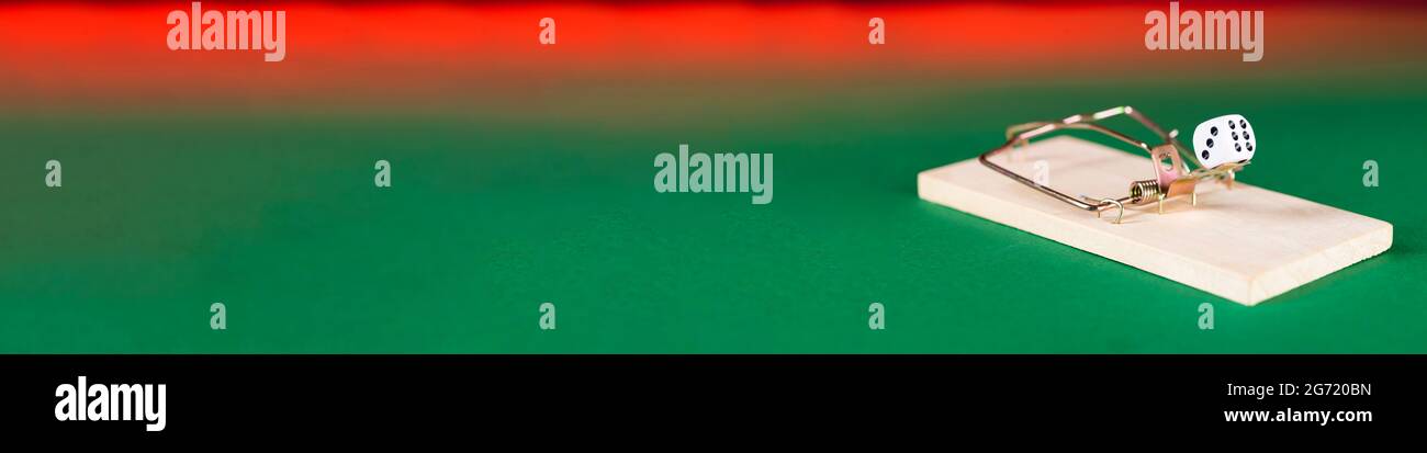 Dice and mousetrap, game trap, on a green background, get into gambling ...