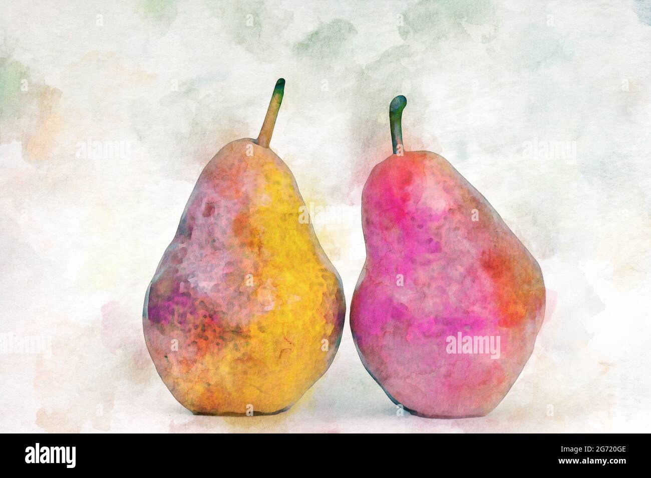 Digital watercolor painting illustration of two pears Stock Photo - Alamy