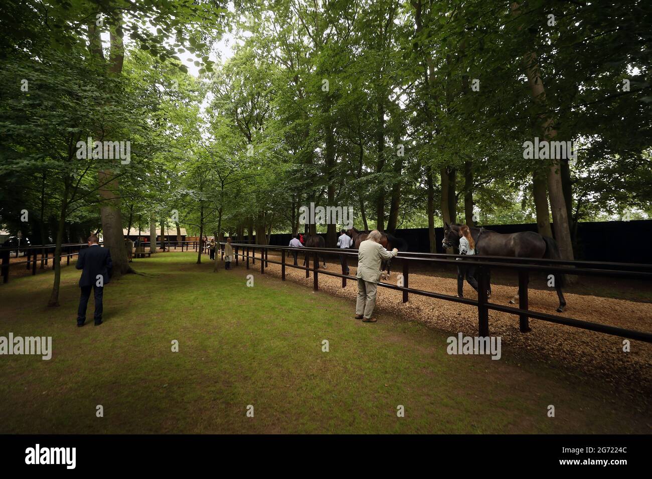 Horses in the pre parade ring during the Darley July Cup Day of the ...