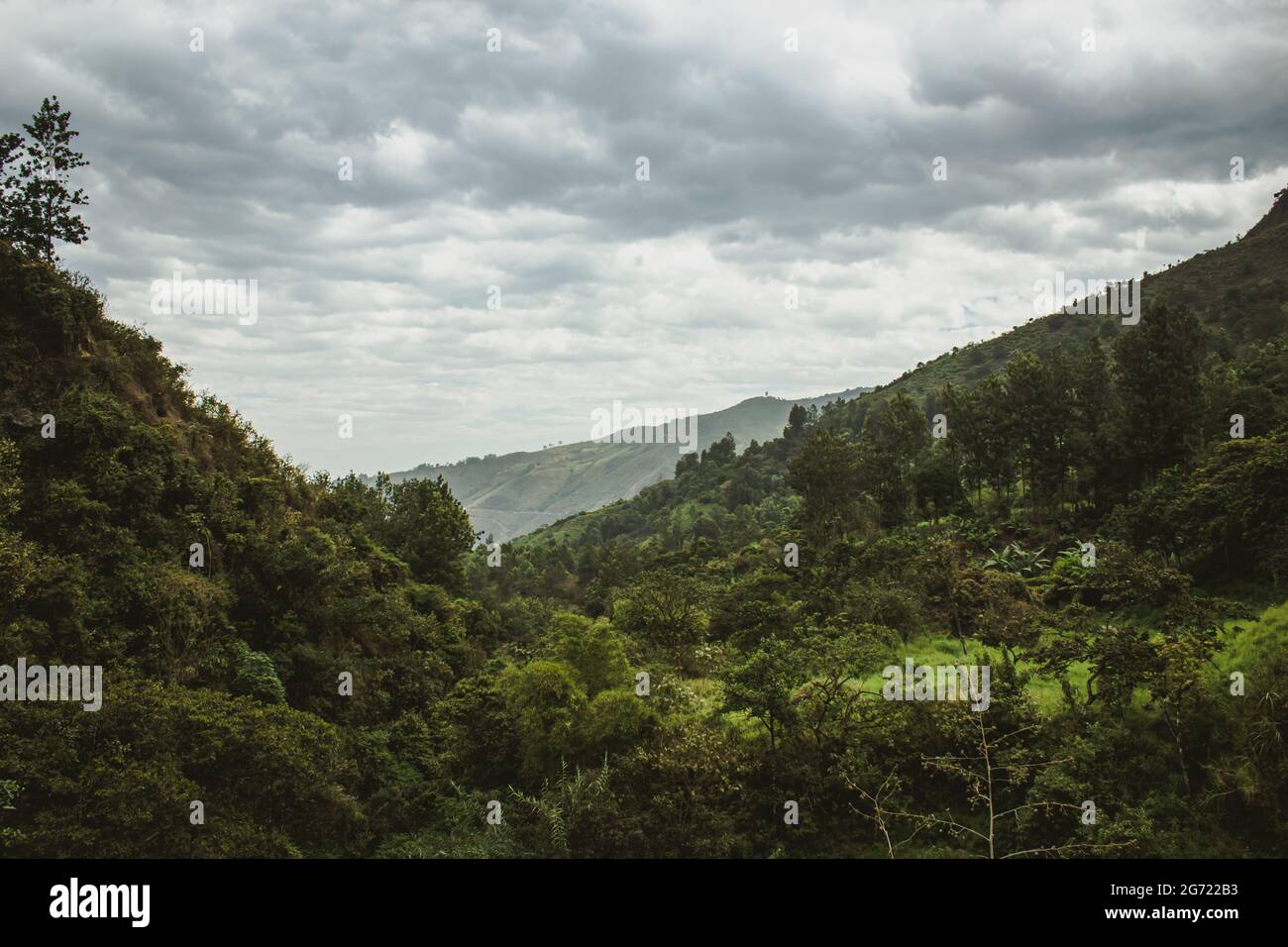 Greenery-covered hills on a gloomy weather in Canchaque, Peru Stock ...