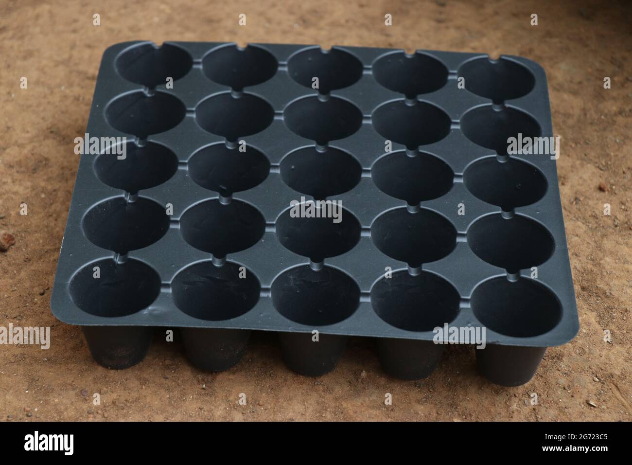 Seeds tray pots hi-res stock photography and images - Alamy