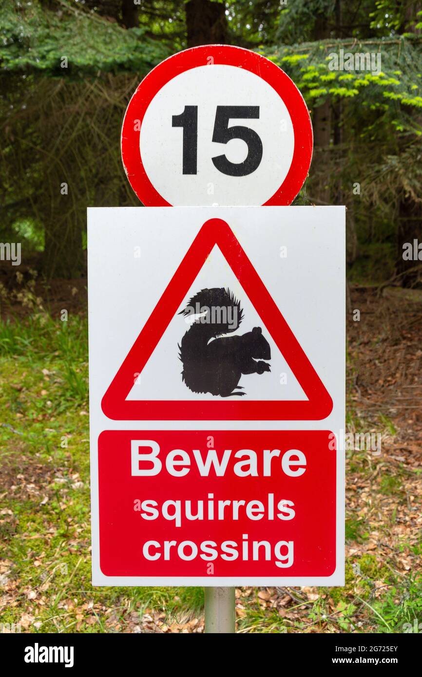 Beware squirrels crossing sign in gardens, Balmoral Castle and Gardens ...
